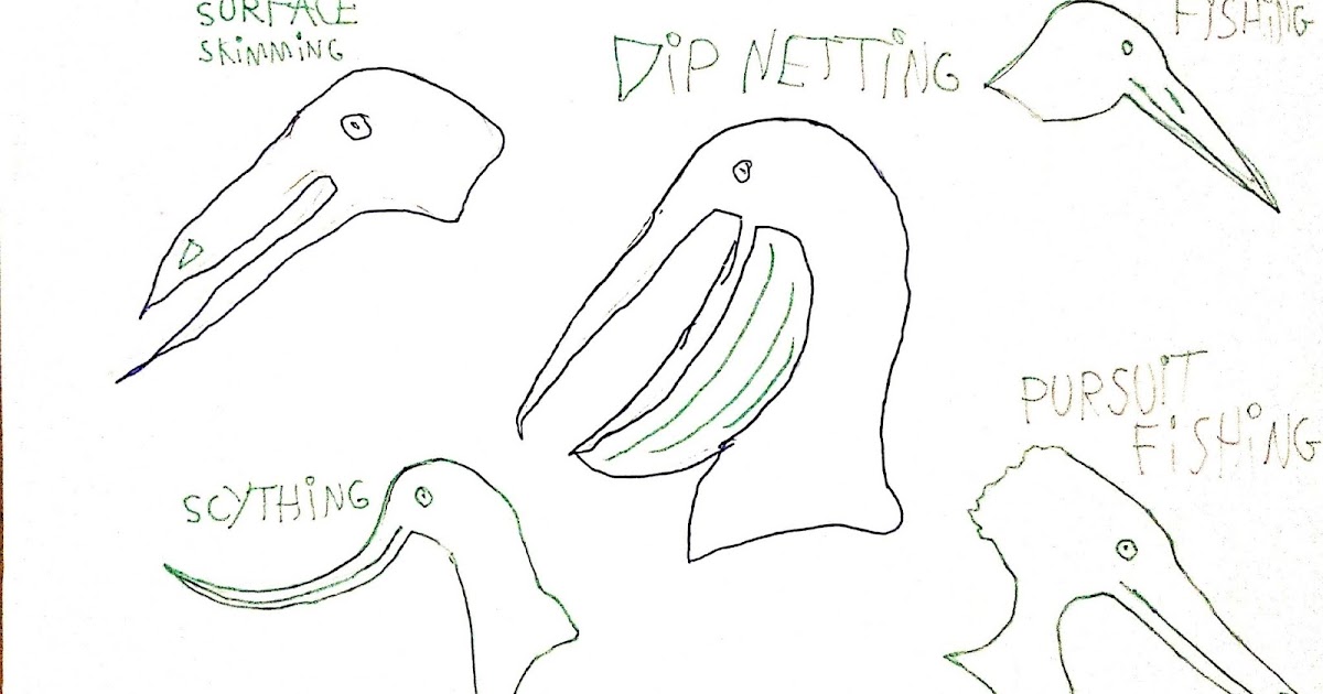 Mikroraptor Musings: Analyzing a Scientific Article and a Project on ...