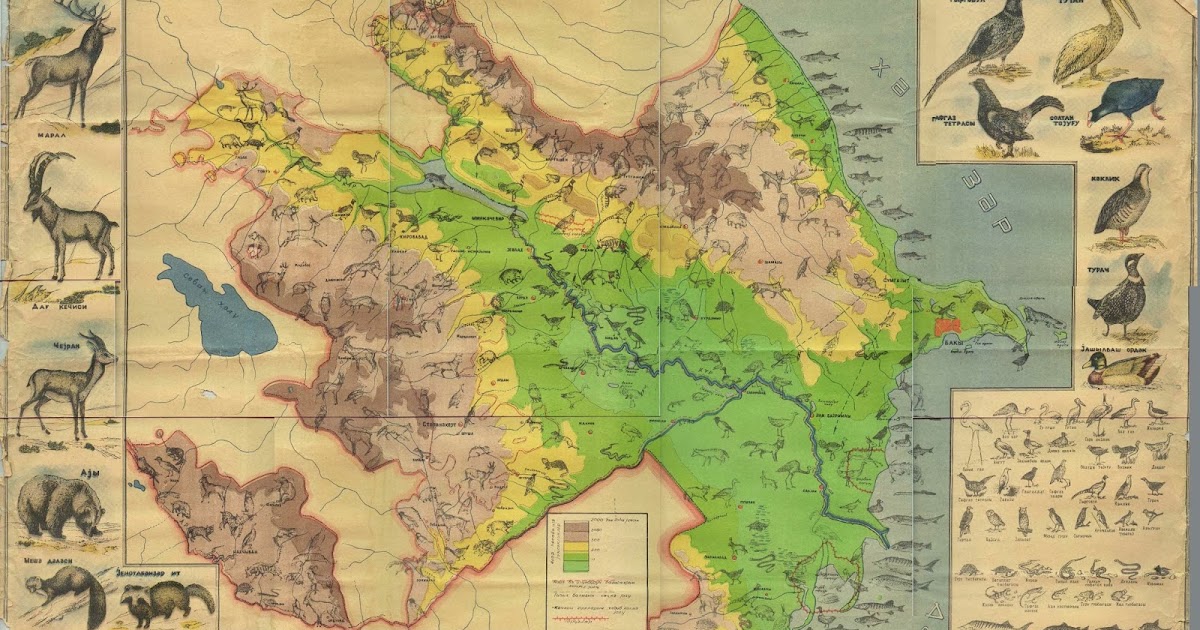 coqrafiya.bloqu.e-Xerite: Azərbaycan - Atlas