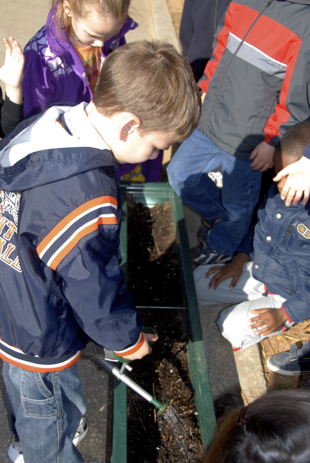 Miss Judy's Pre-Kindergarten Class: Preschool Science Fair