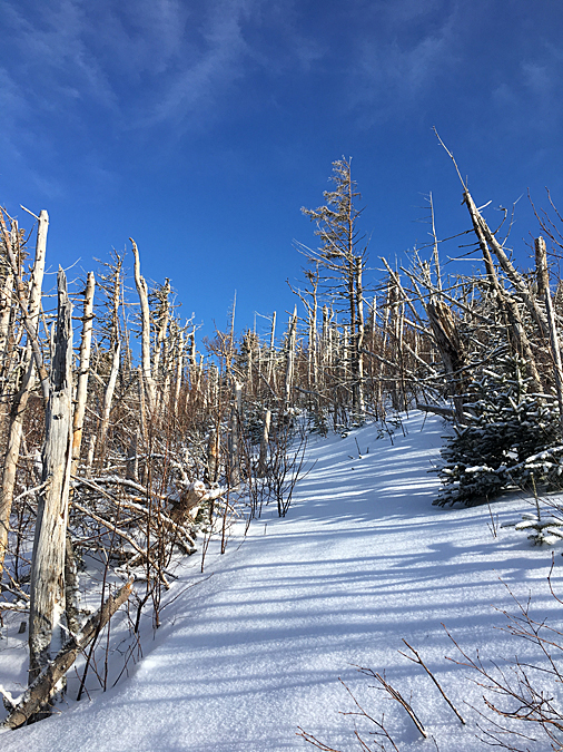 Hiking in the White Mountains: Sunny Saturday Above Treeline ...