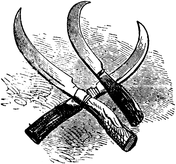 French Vocabulary Illustrated: serpe