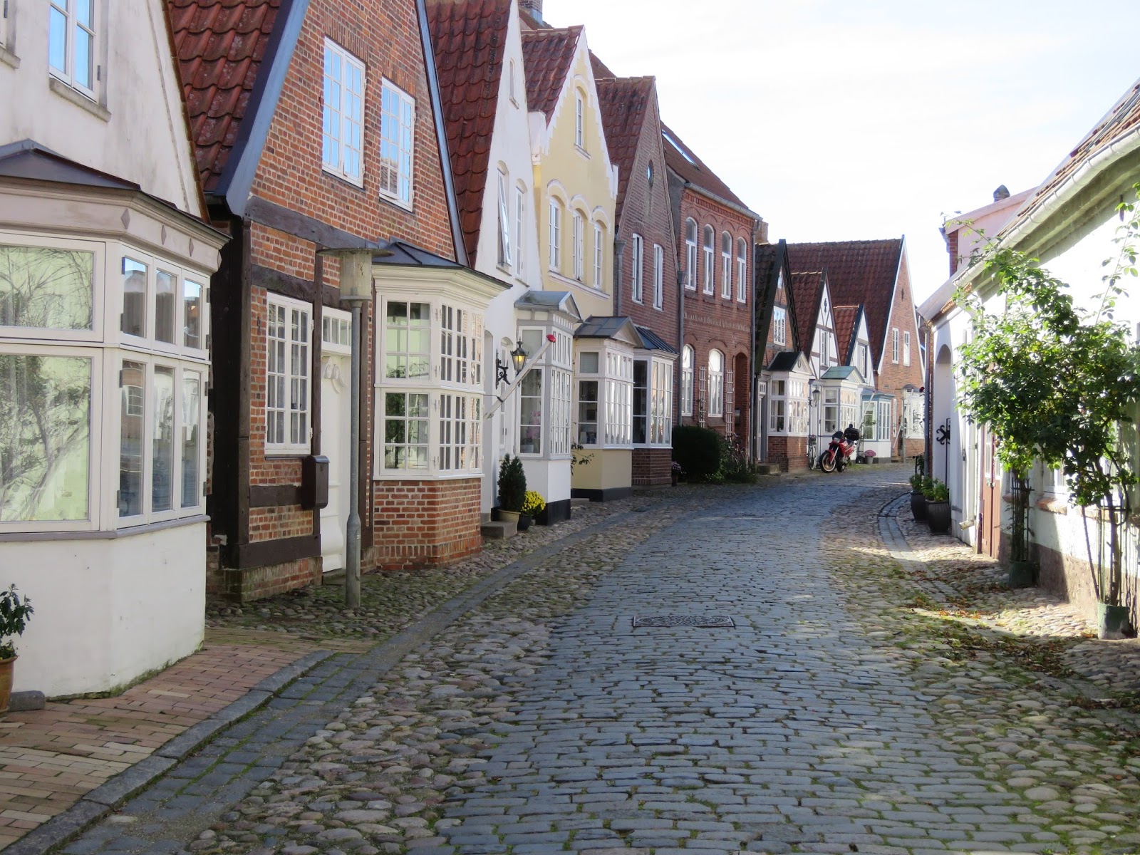 Jespers Blog: The Tønder Marsh, Denmark, Tønder, Nørresø, Starlings ...