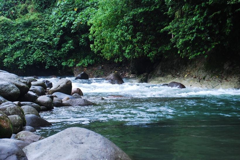 Roam-a-holic: Exploring Daet, Camarines Norte