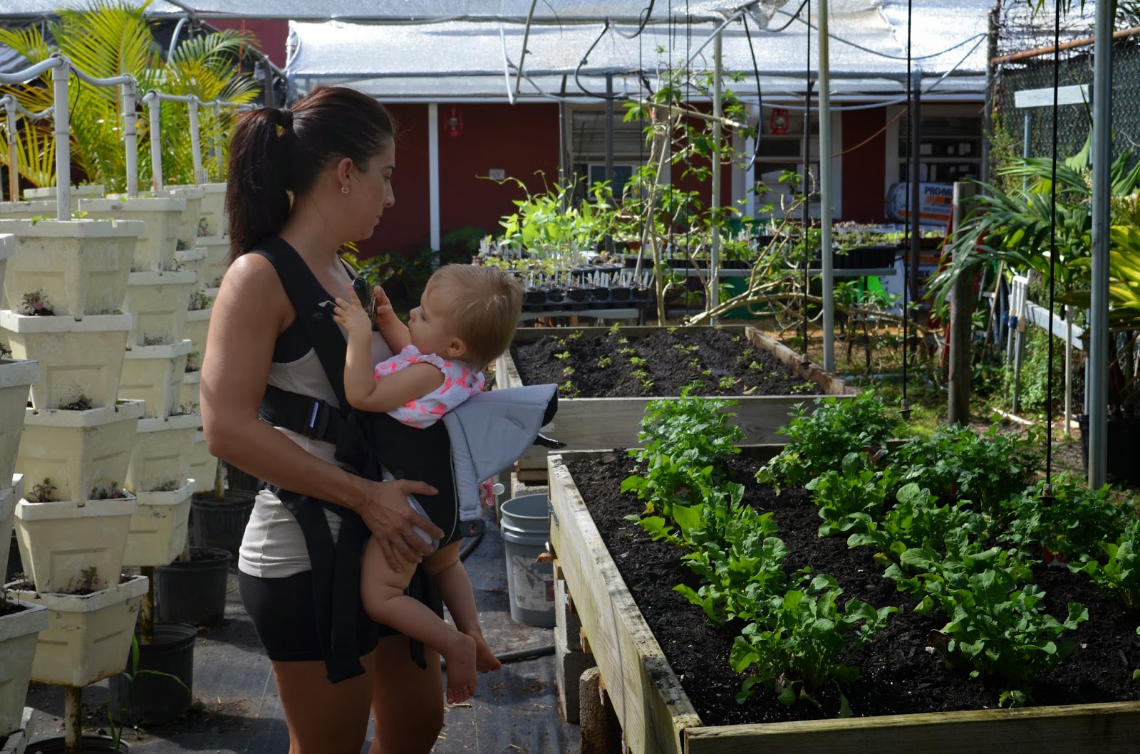 Christina McGuire : Our Day at Marando Farms! {Ft.Lauderdale, FL}