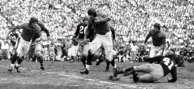 Bill's Update Blog: 1946 Chicago Bears