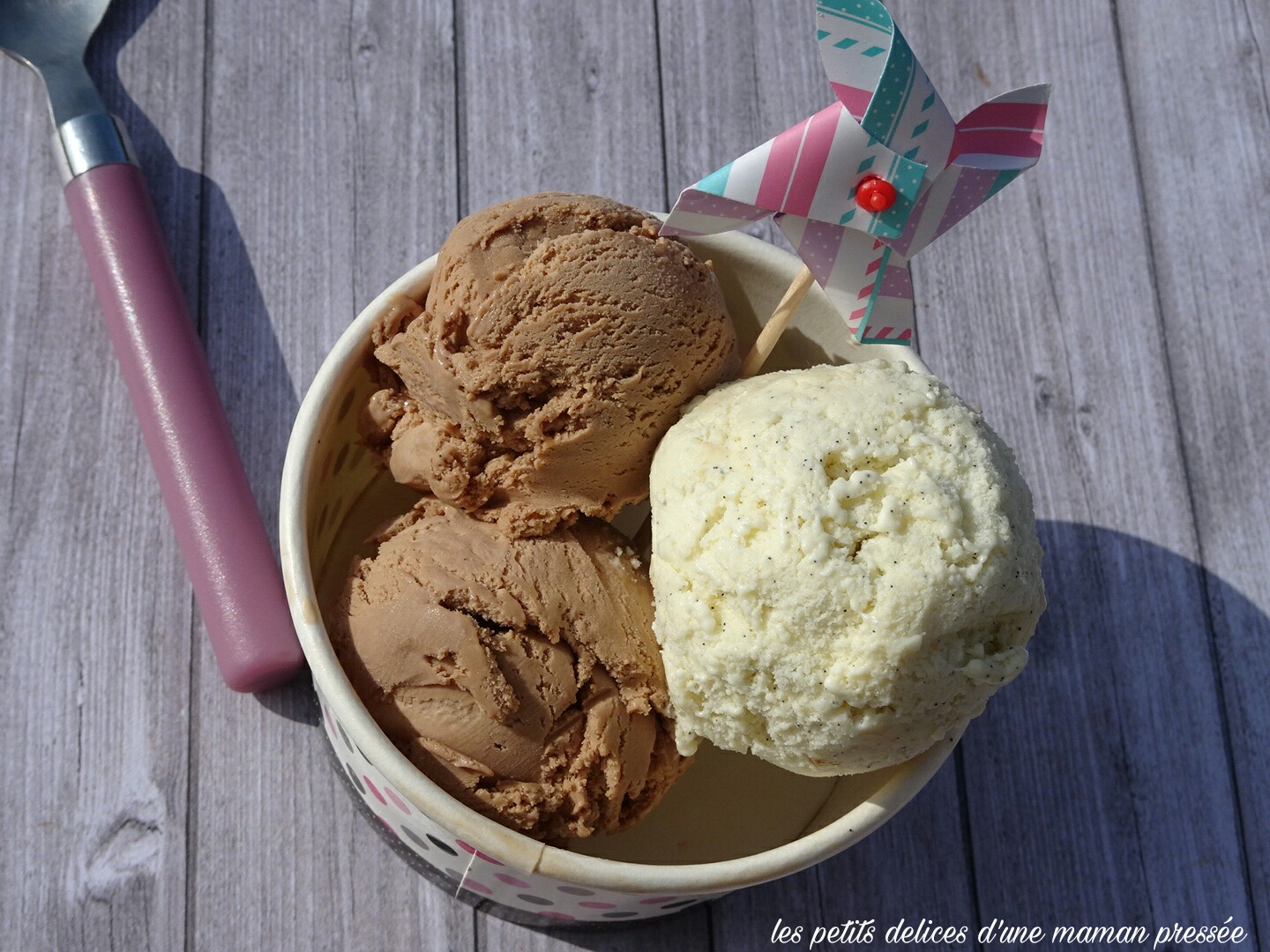 LES PETITS DELICES D'UNE MAMAN PRESSEE: Glaces chocolat & vanille extra ...