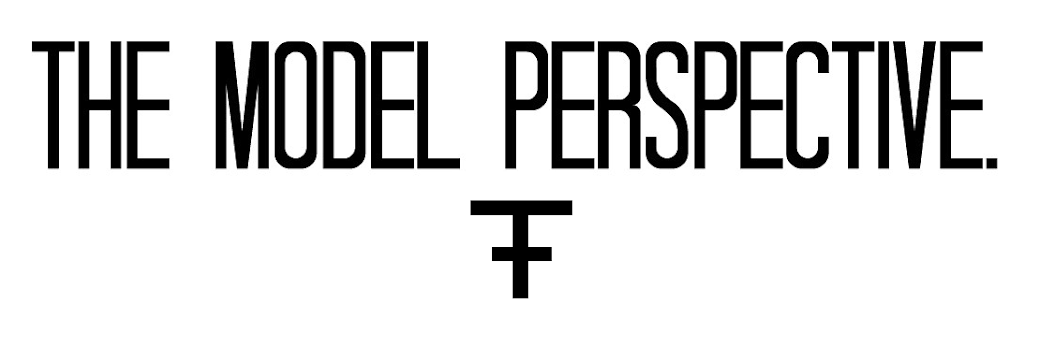 The Model Perspective: ζ