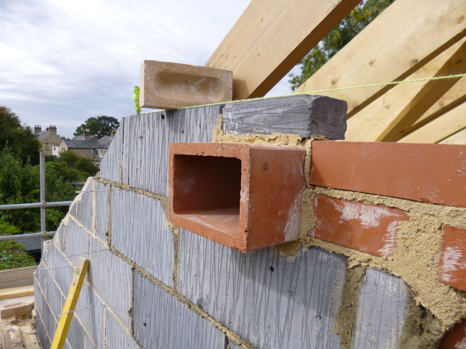 Action for Swifts: A new house with 9 new Swift boxes
