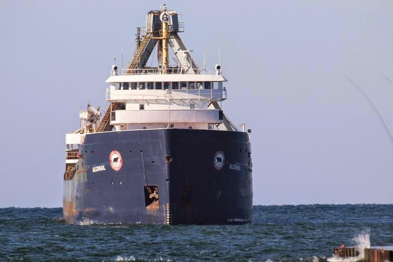 Michigan Exposures: The Algorail Enters the Grand River