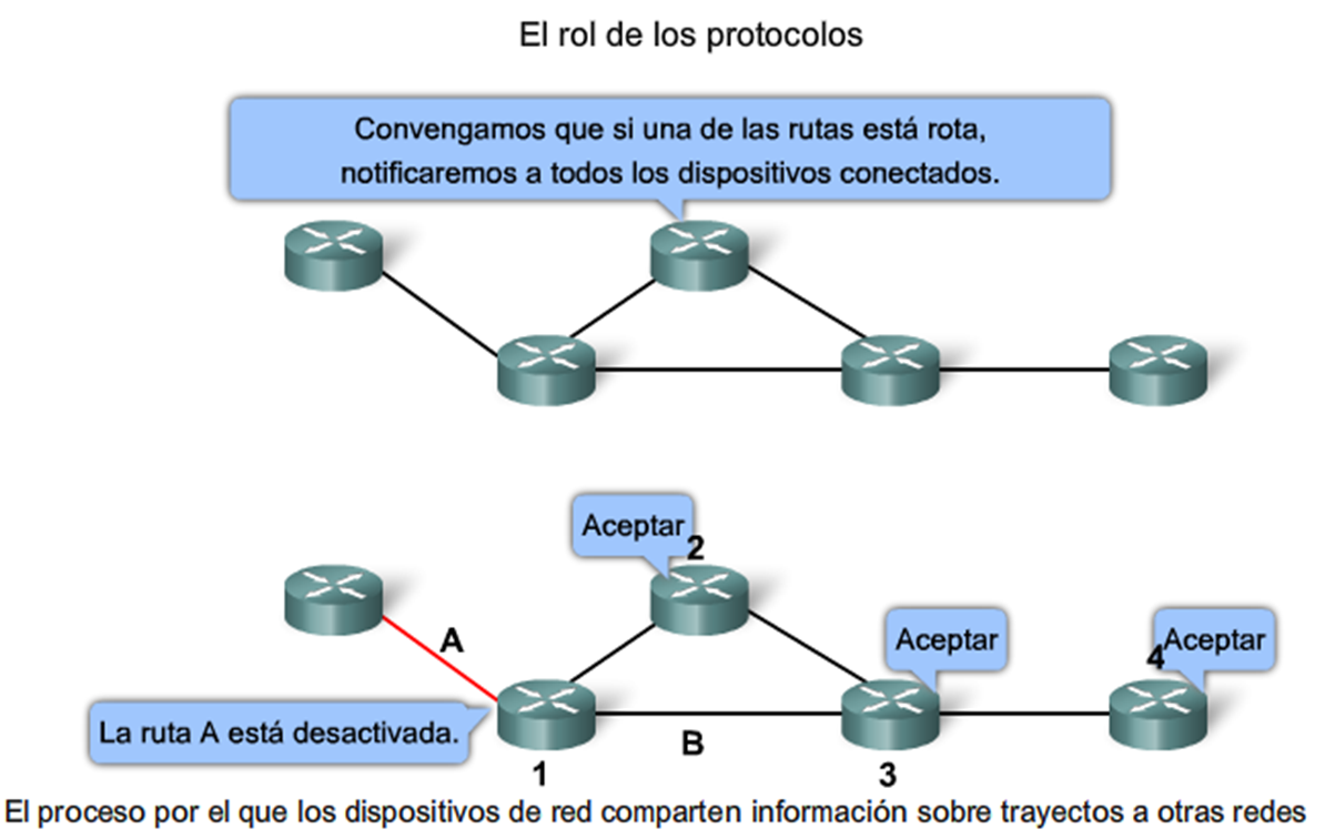 Cisco: Aspectos Basicos De Networking: 2.5 Protocolos de red