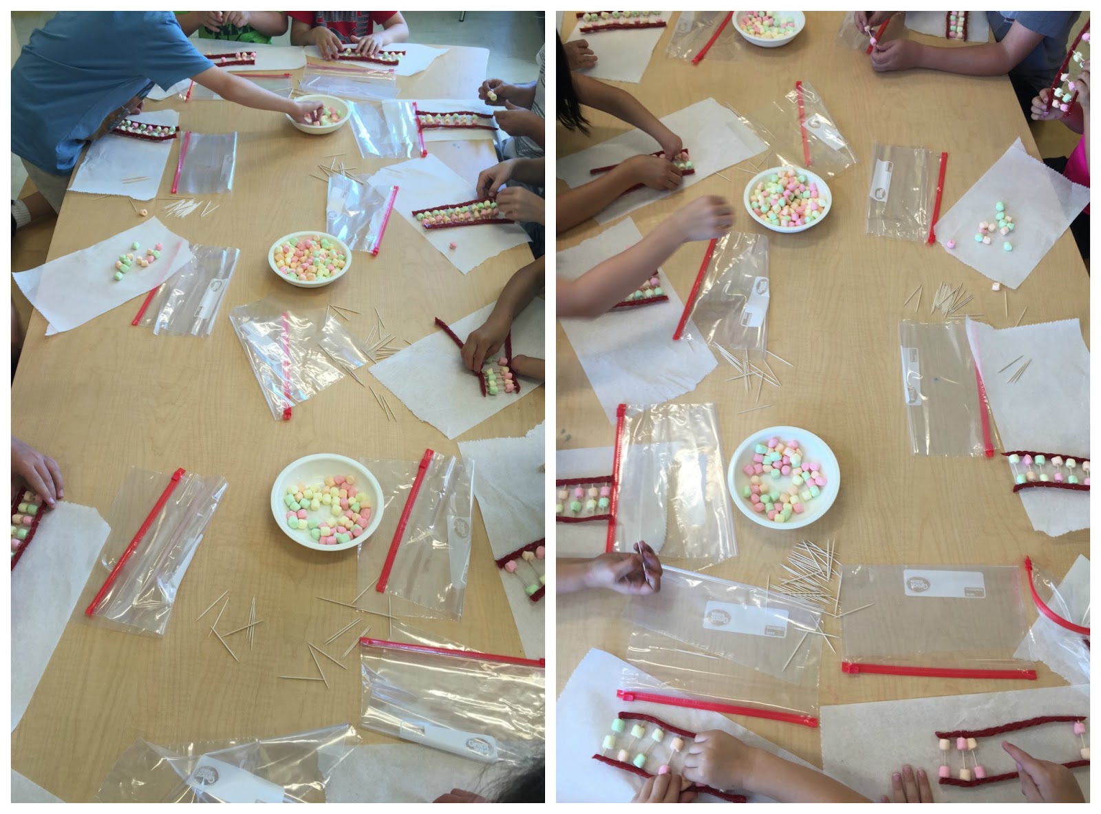 Adventures In Storytime (and Beyond): DNA Extraction STEAM Program