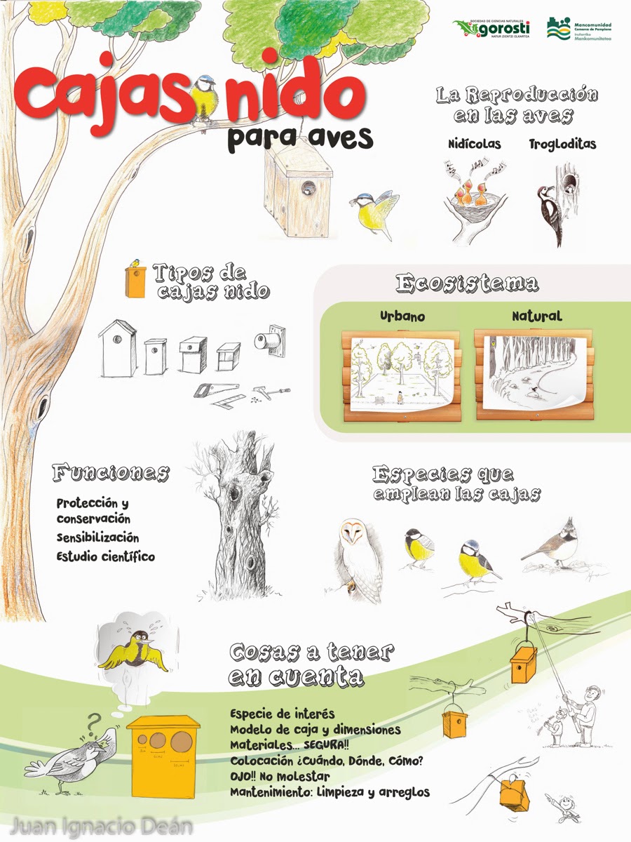 NOTIBLOG: TALLER DE CONSTRUCCIÓN DE CAJAS-NIDO