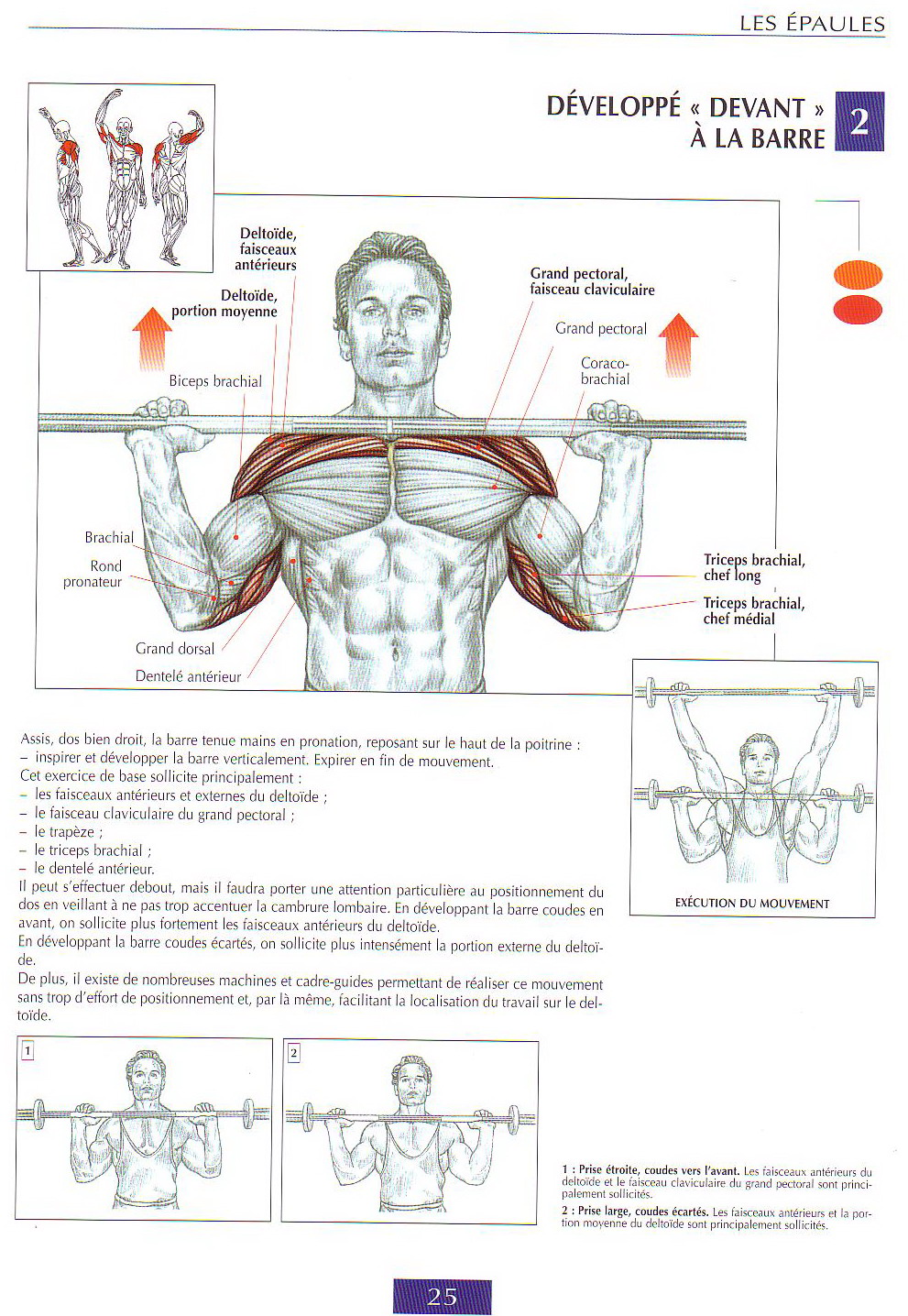 shoulders best exercices | guide de musculation