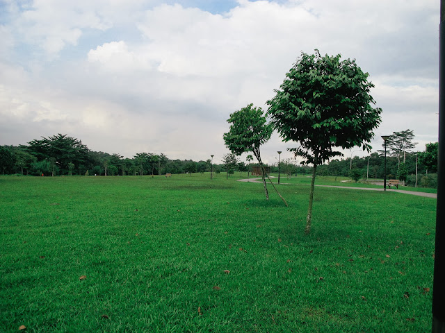 Sengkang Riverside Park | A Photographic Diary