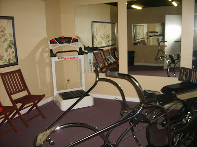 LeFore's Spa: Euro Shaper & ROM machine