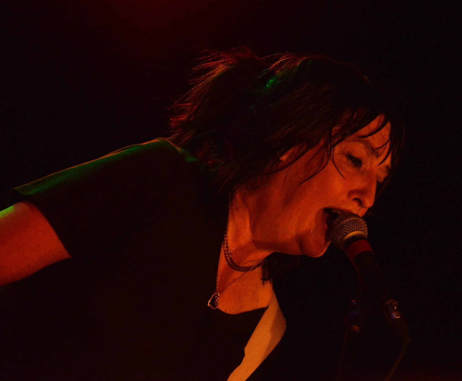 There's Something Hard in There: DOA, Fastbacks take Seattle by storm