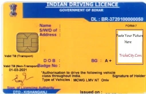 Fake Drivers License Generator Download - skateshara