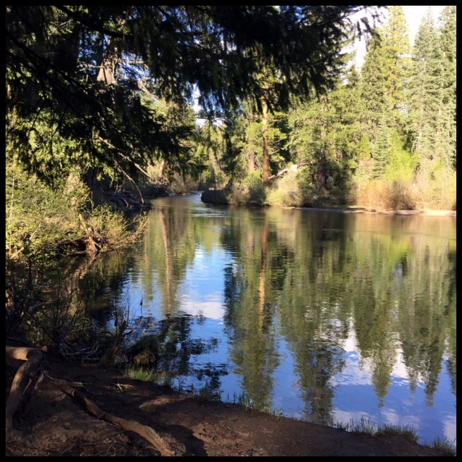 Siskiyou County Camping: Cattle Camp