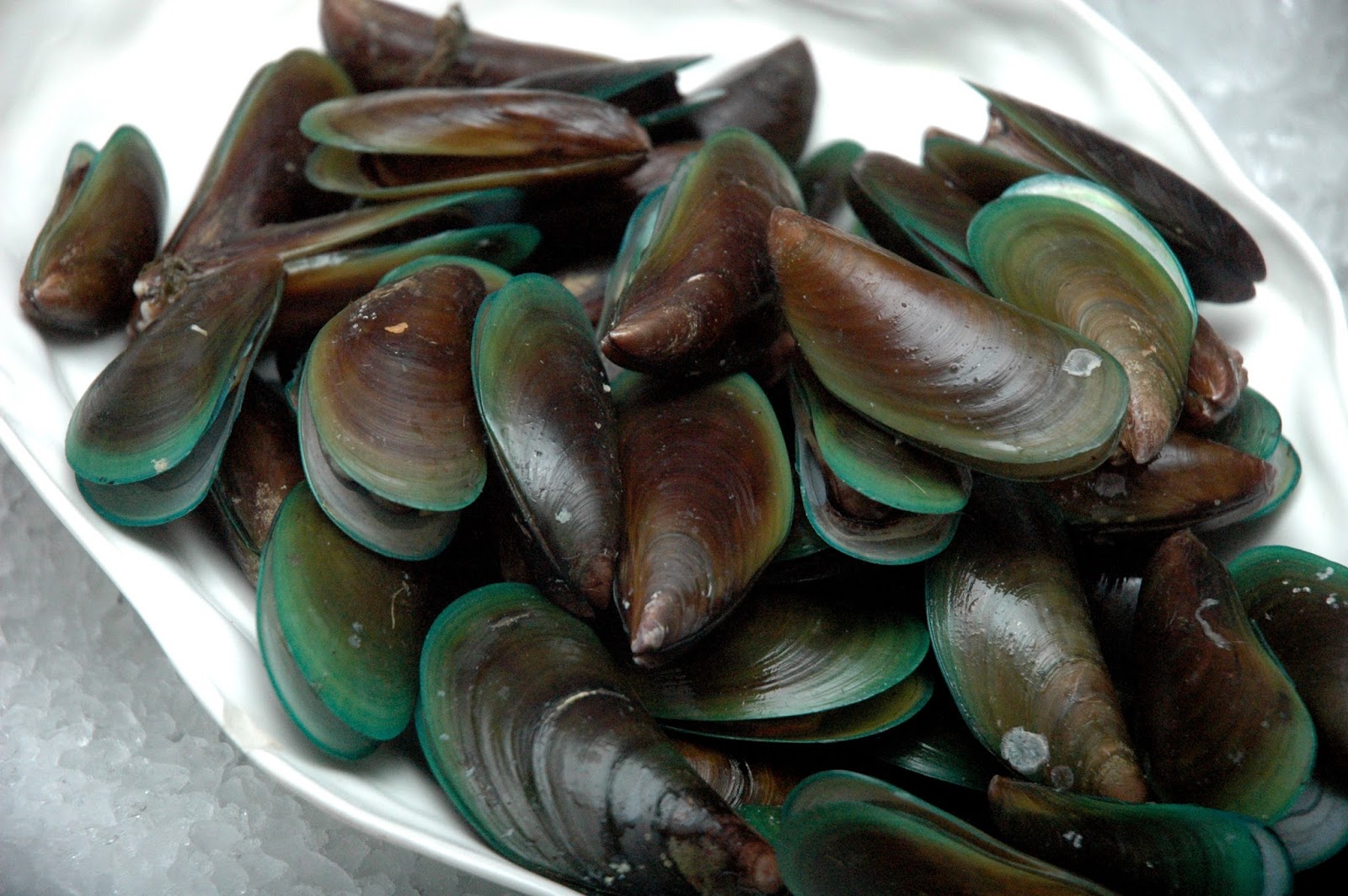 DUDE FOR FOOD: Bringing The Vibrant Flavors of Asian Street Food to ...