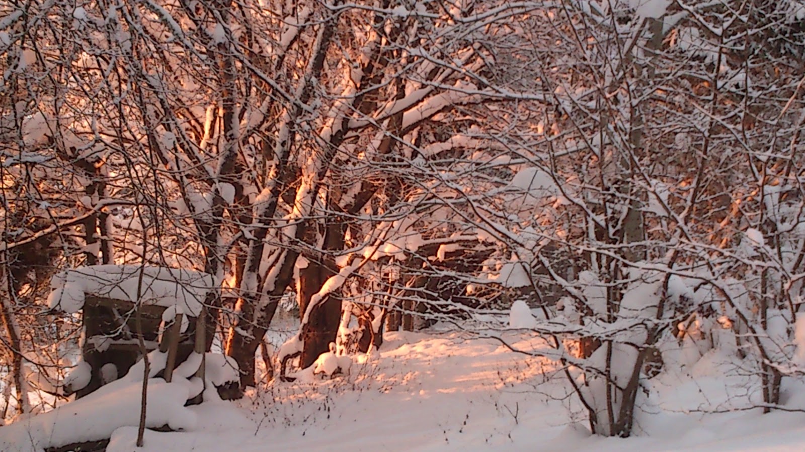 Ateljé Gamla Huset: Några vackra vinterbilder vid min ateljé...