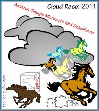 Cloud Cartoons, Humor - The State of Cloud Computing in 2011 ~ Techno-Pulse
