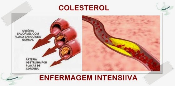 Enfermagem atualizada...: COLESTEROL