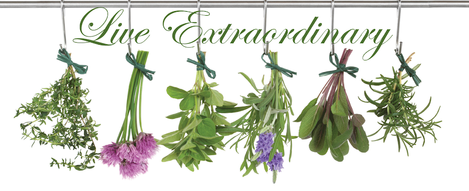 Live Extraordinary: ANDI Score Chart