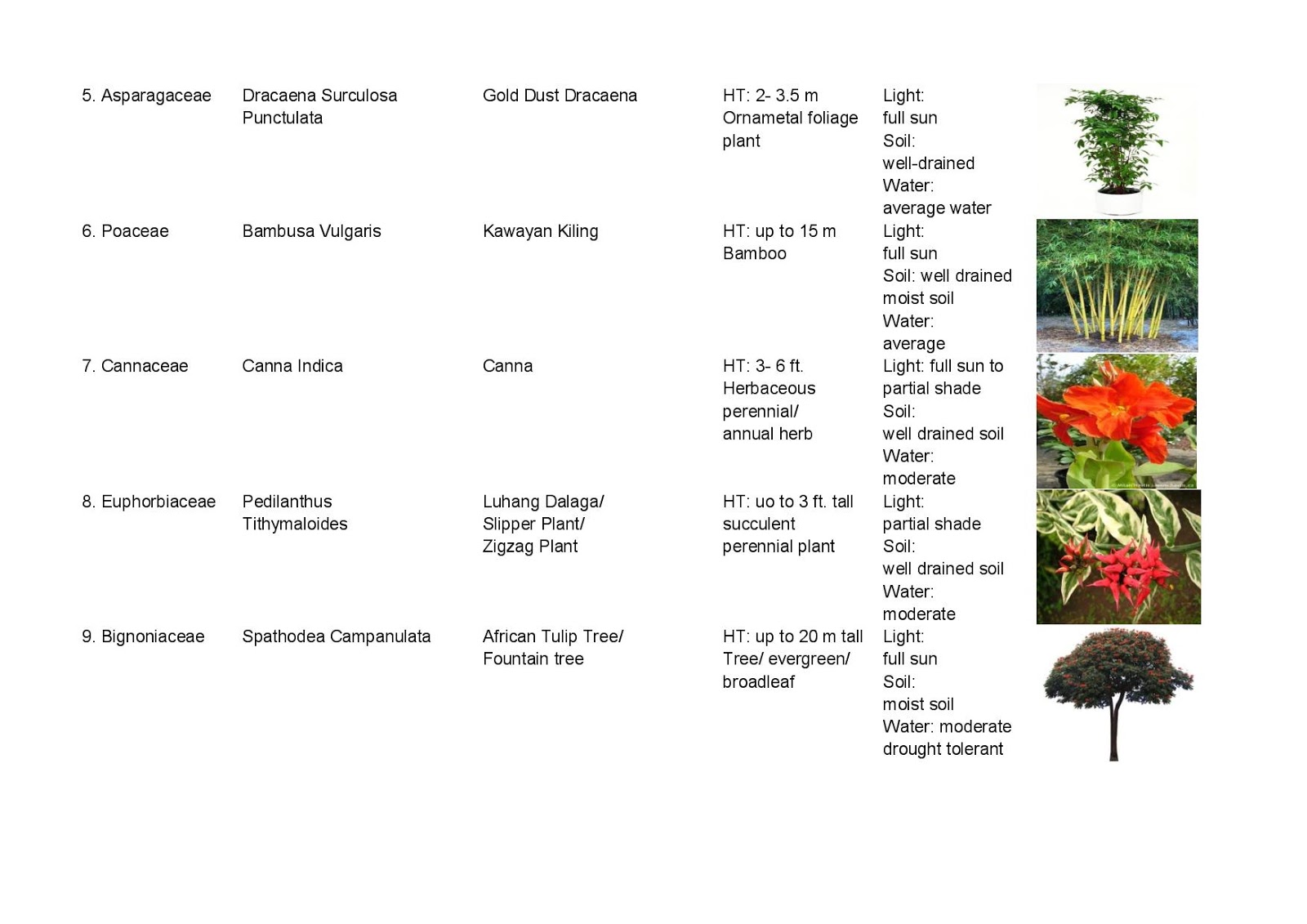 Softscape Materials: Plant List 1