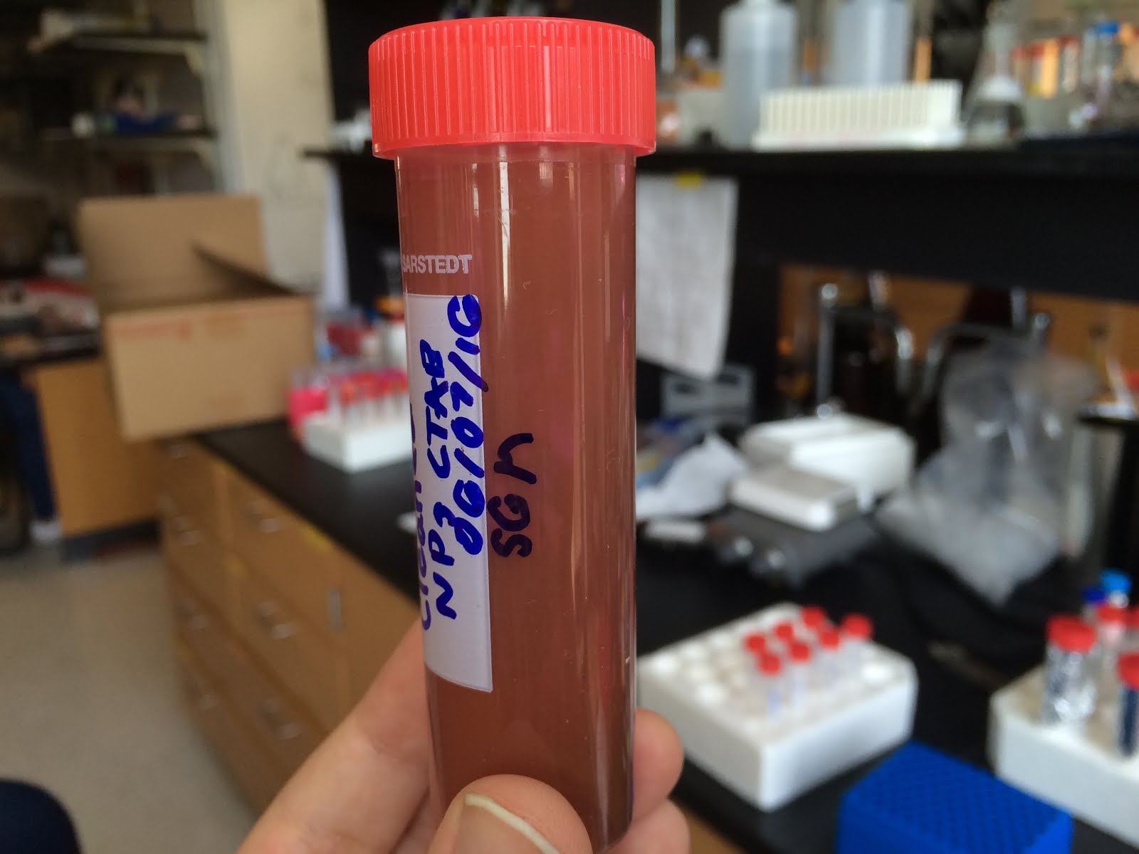 Andresen Lab @ Gettysburg College: Color Changing Kool-aid