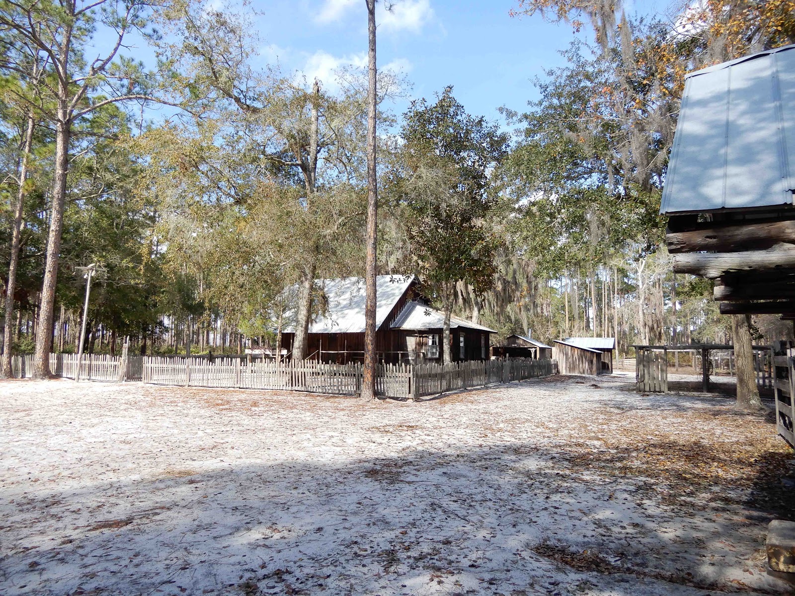 Cat Patches: Swamp Island Drive