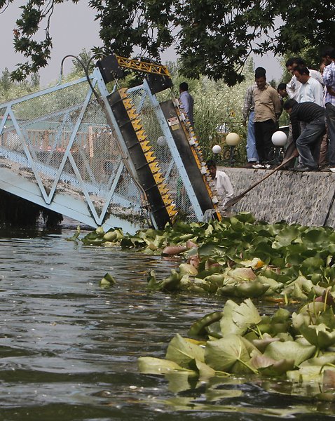 Save Our Stream: Dead fish in Shangri-La