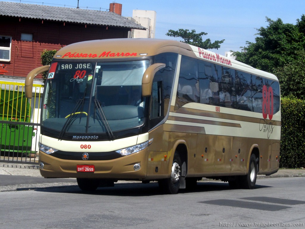 Tudo de Ônibus: Paradiso 1050 - Pássaro Marron