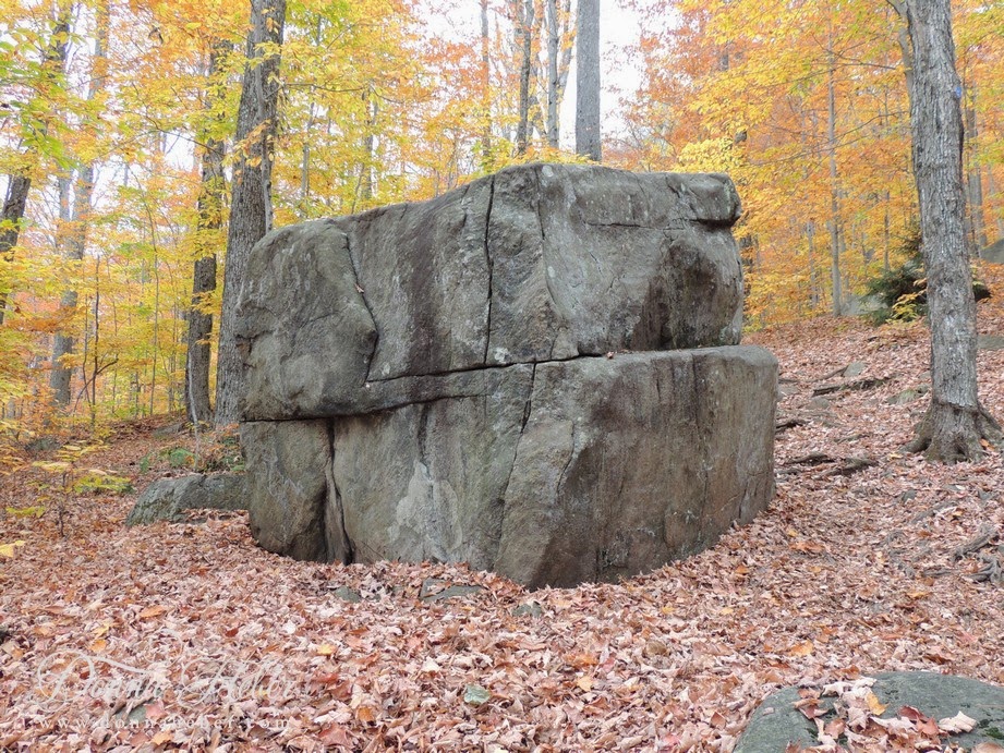 Donna's Designs: Panther Mountain