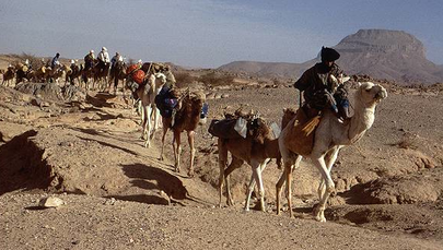 G6 MYP Individuals & Societies: Trade Caravans