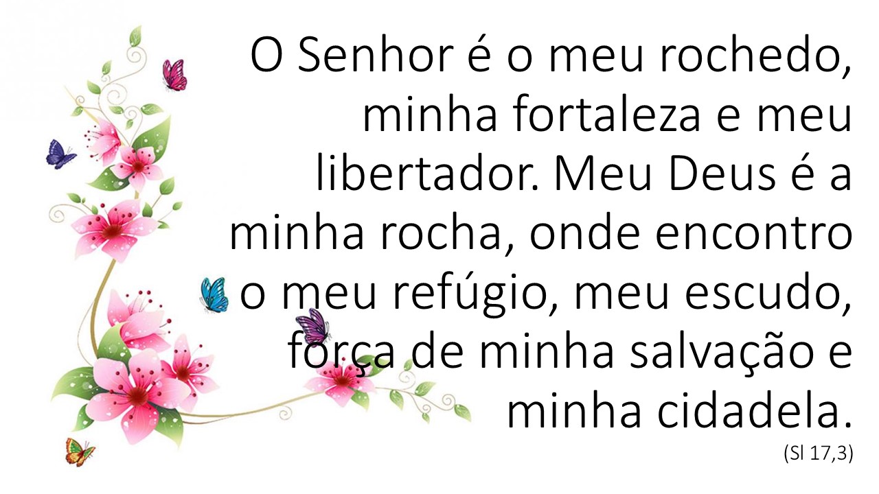 A Mão da Vida: Salmo 17