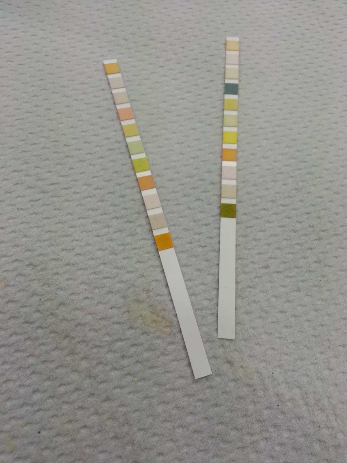 Navigating Naturopathy: April 2013