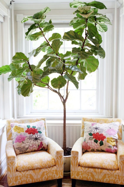 Inspired Whims: Spring Decorating Ideas to Perk Up Your Space