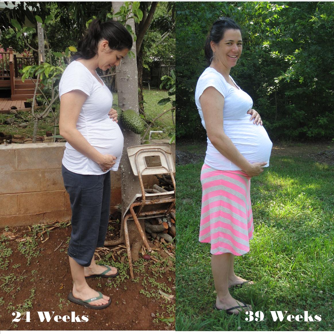 thunder bear and wren: Belly Comparison