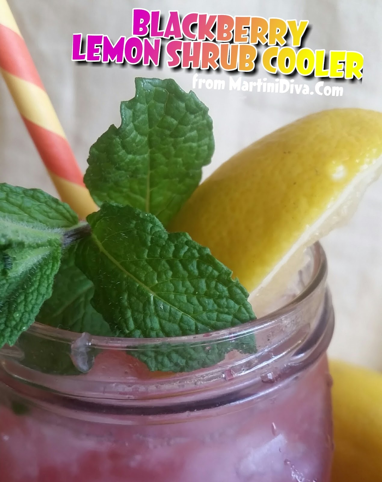 The MARTINI DIVA: BLACKBERRY LEMON SHRUB COOLER COCKTAIL RECIPE