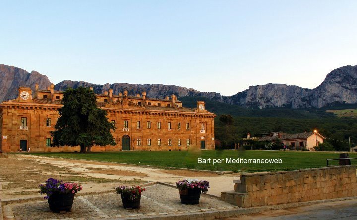 BOSCO DELLA FICUZZA ....riserva naturale orientata