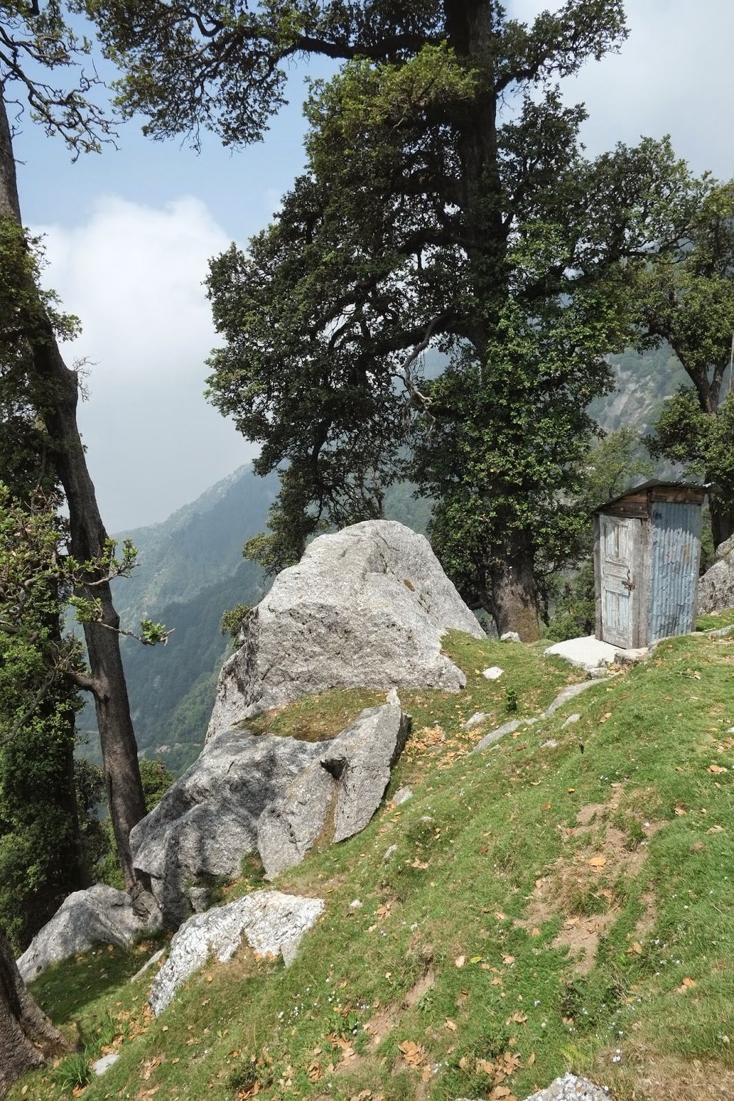 Letters from Hyderabad