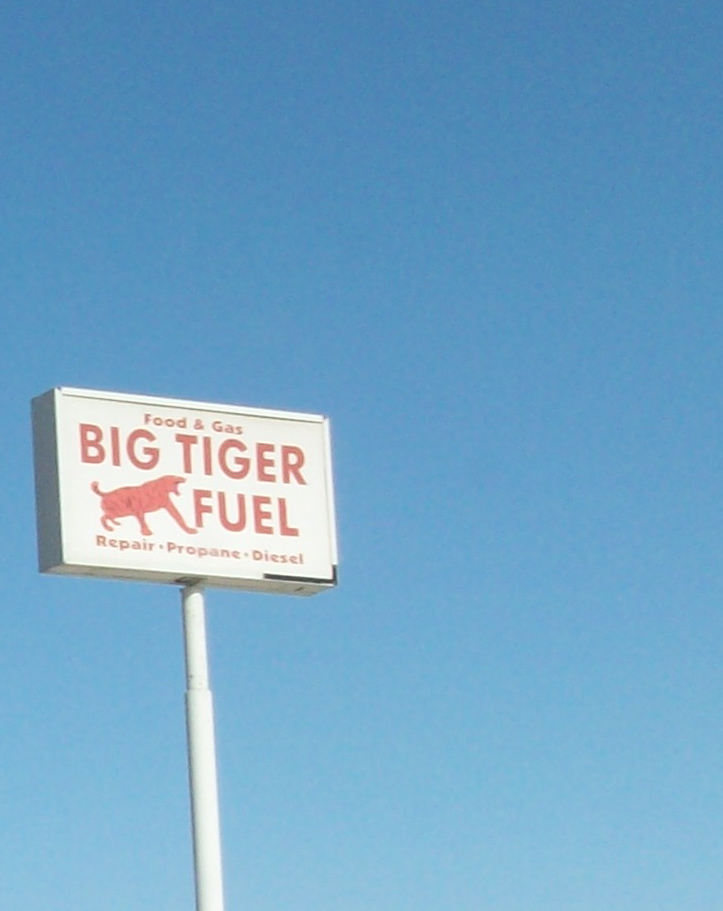 wacky tacky: Signs of the Times: A Road Trip Retrospective