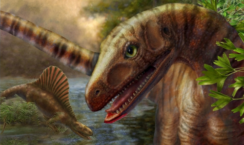 Extinct Animal of the Week: Silly Saurs