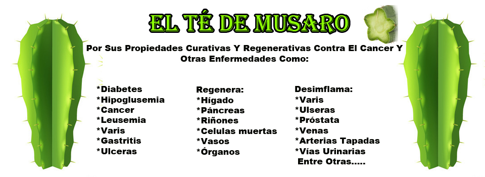 Combatir cancer y otras enfermedades con té de musaro: Que es el MUSARO?