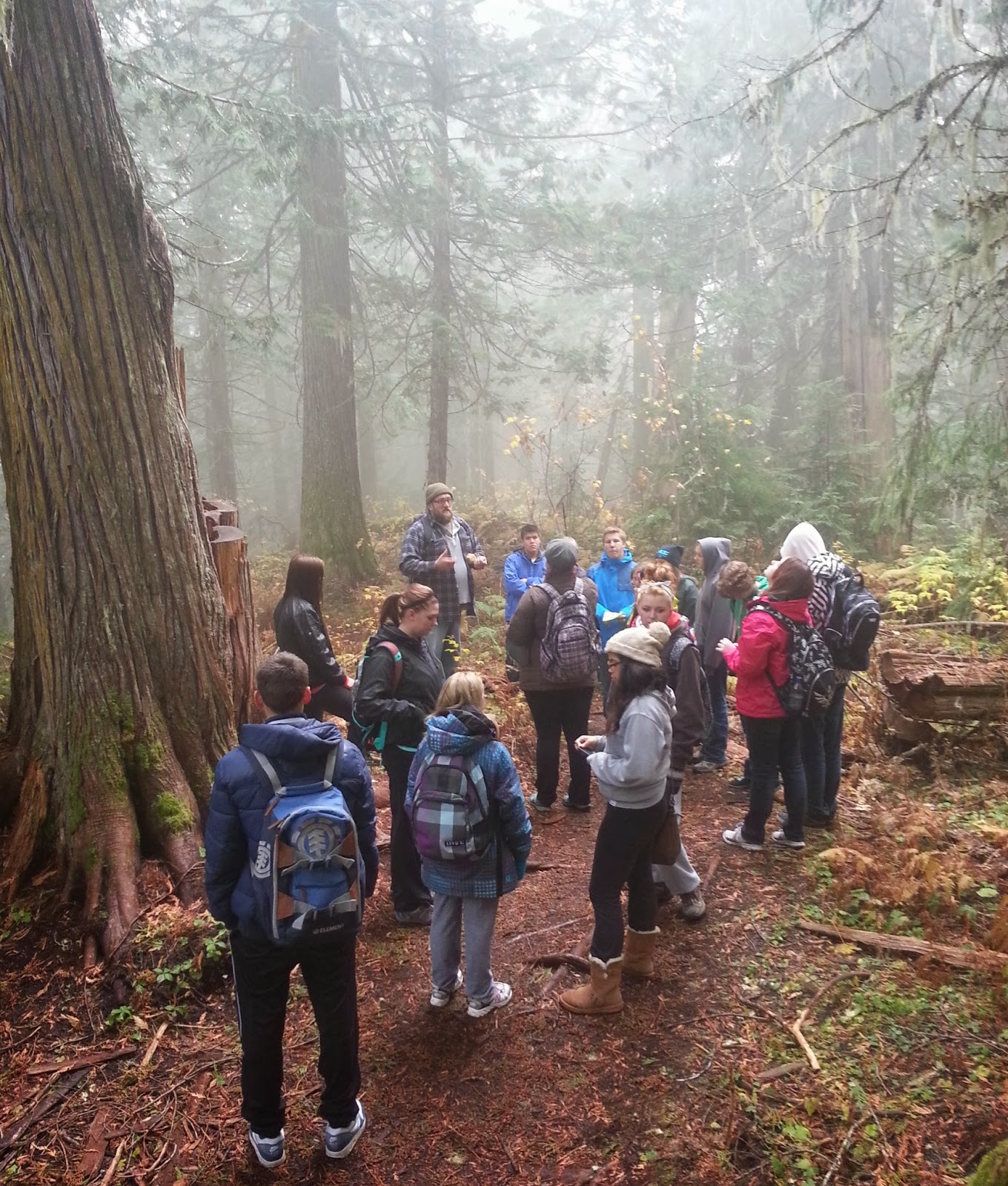 Language & Landscape Program: parent and student info