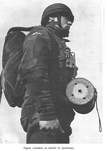 World War 2 History and the WW2 Pigeons: Pigeons in World War II by ...