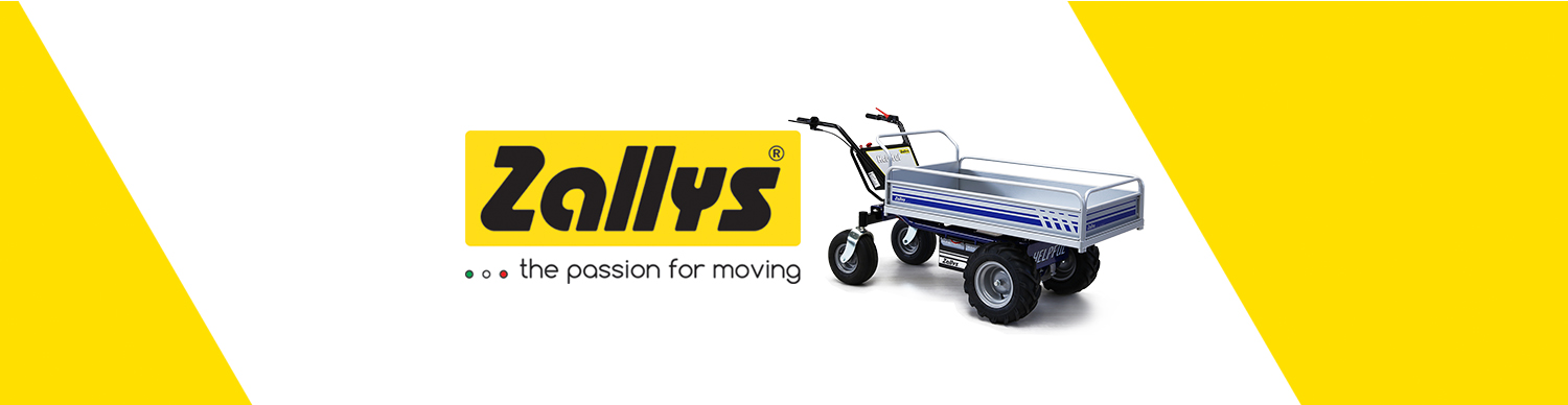 Zallys HS4 - Flatbed electric cart with great stability