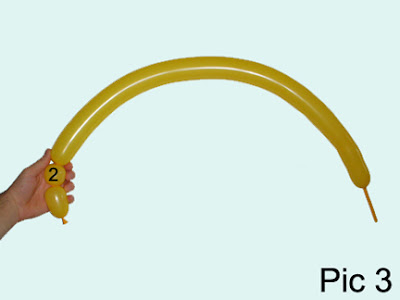 CLASSICAL: Balloon duck