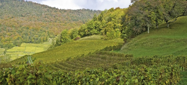 For intérieur: Rilke - Devance tous les adieux (Sonnets à Orphée)