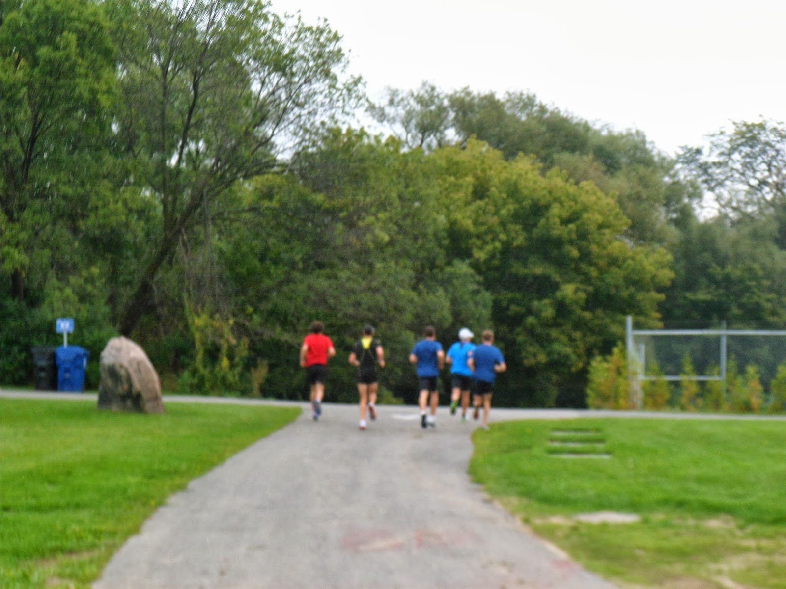 West Coast Runner: Oasis Toronto Zoo Run (National 10km Championships)